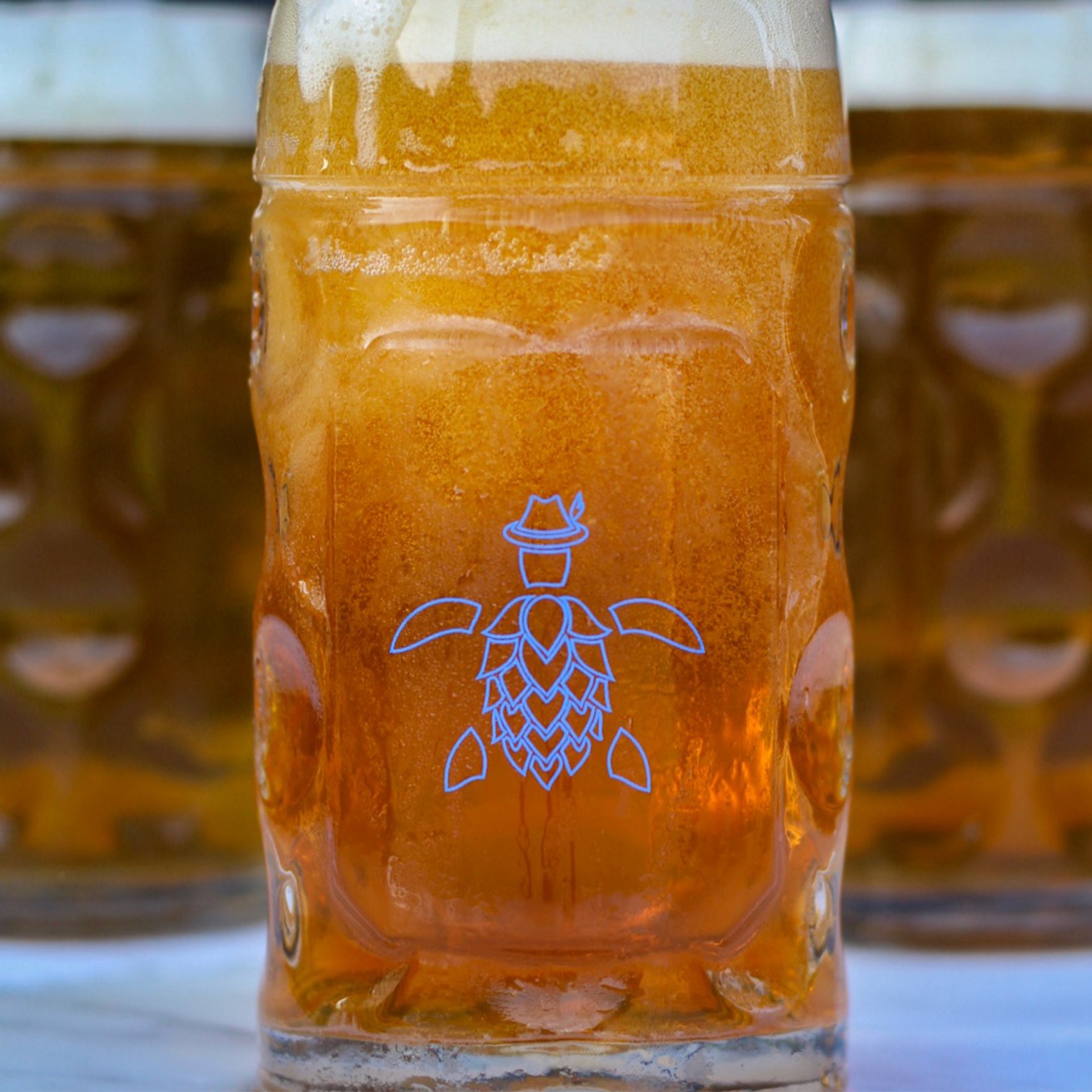 Category: Glassware | Salty Turtle Beer Co.'s Online Shop