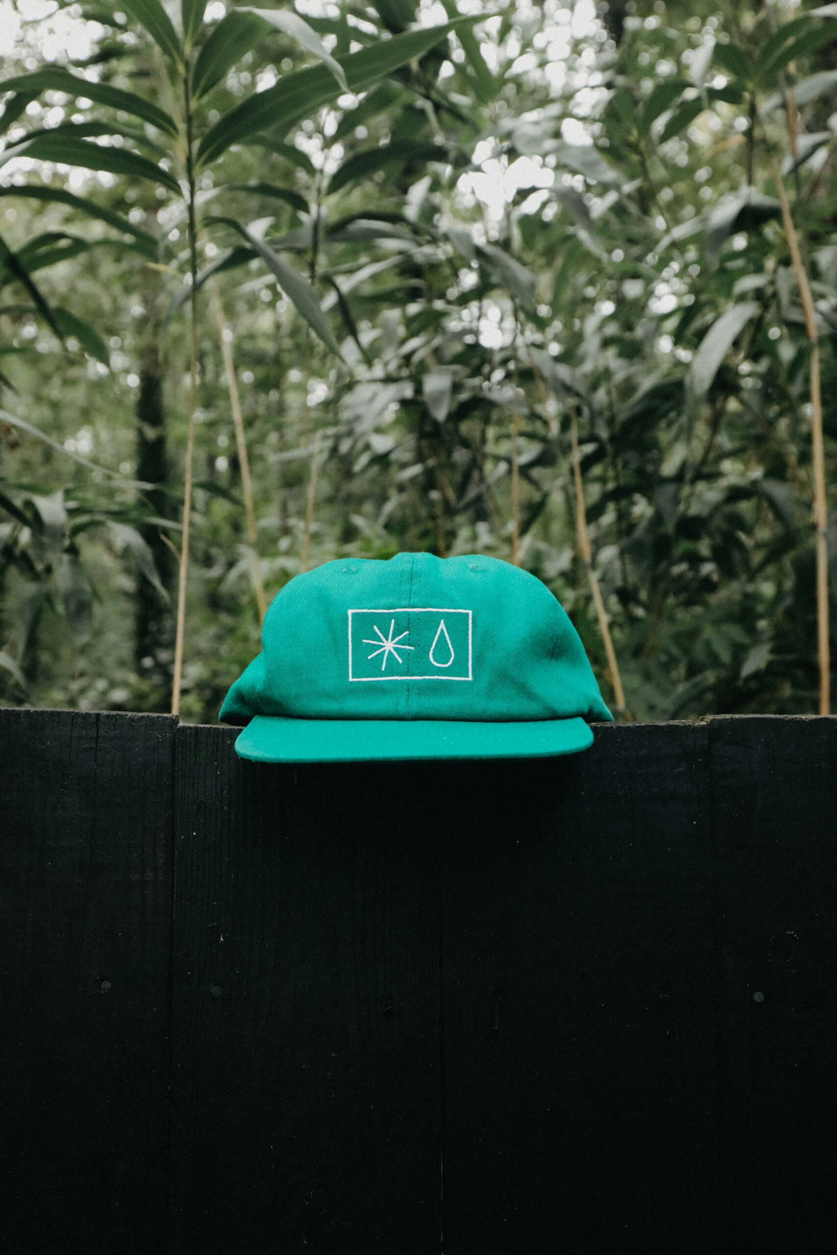 Green Star Drop Hat | The Veil Brewing Online Shop